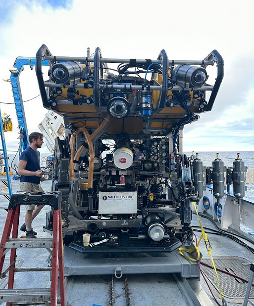 The Sexton Co. Custom Underwater Camera Equipment Housings – Sexton ...