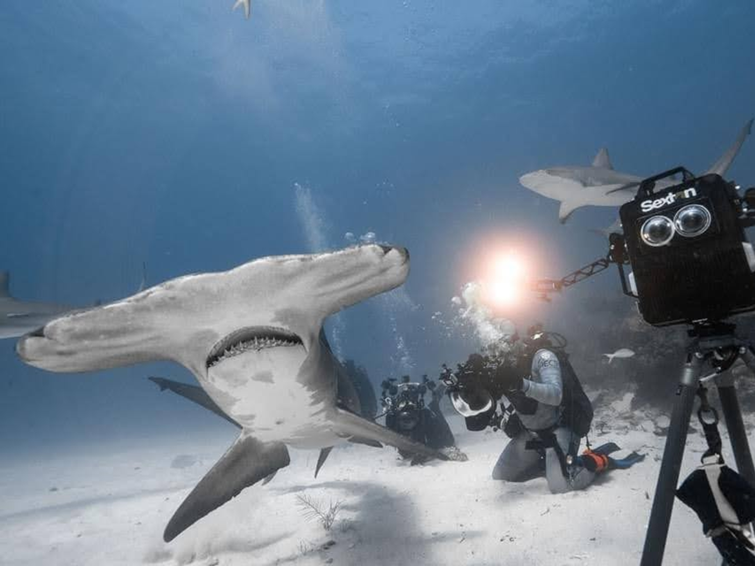 The Sexton Co. Custom Underwater Camera Equipment Housings – Sexton ...